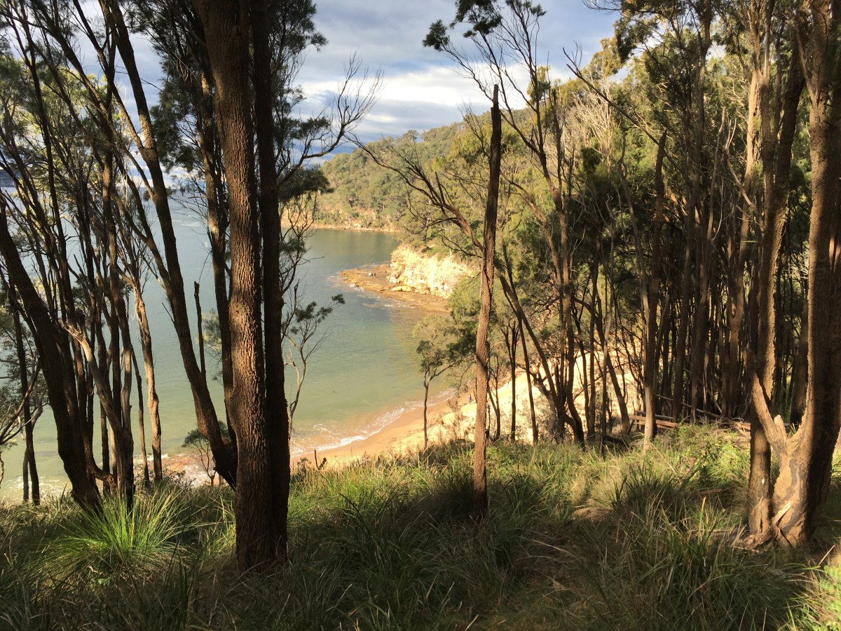 Flint and Steel Beach Track – Solo Hiker